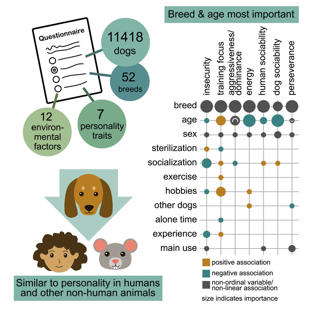 New Finnish study published: Breed, age, and social environment are ...